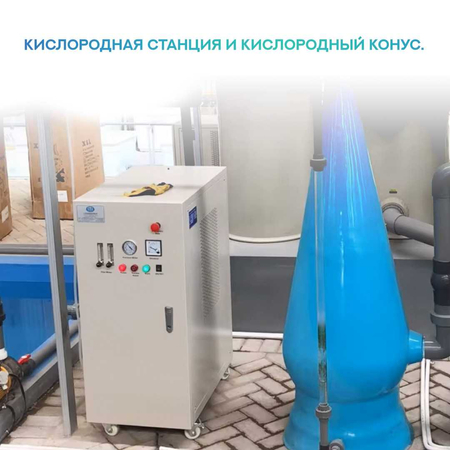 Кислородный генератор для системы УЗВ (Оксигенатор)