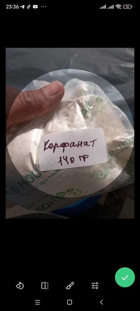 Qassob qoy soyish xizmati