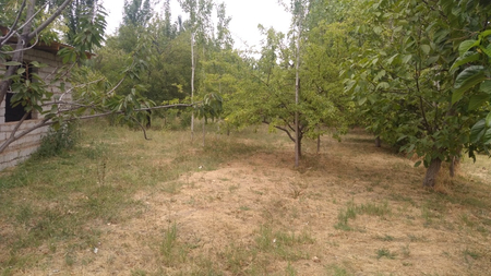 6 sotix er sotiladi dàkumenti bor dacha qyrishga toza xavo