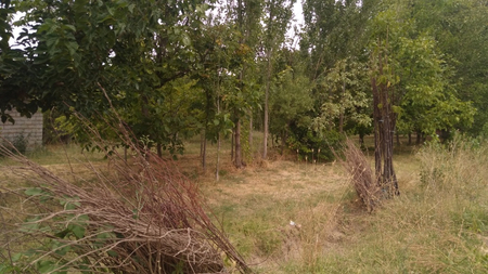 6 sotix er sotiladi dàkumenti bor dacha qyrishga toza xavo