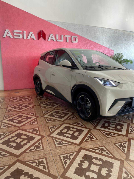 BYD seagull 2023 creditga va naqdga