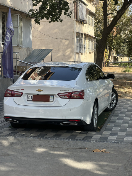Malibu 2 primyer
