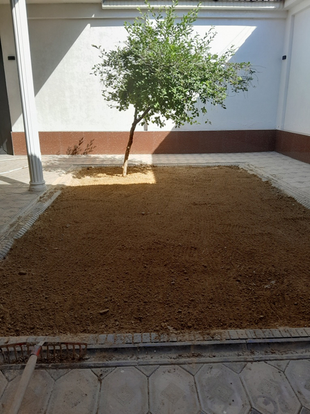 Gazon ekam sifatli va qulay