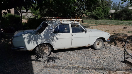 Волга Газ 25 1981 йил