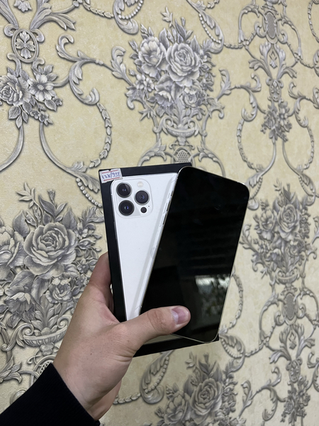 Iphone 13 pro max ideal