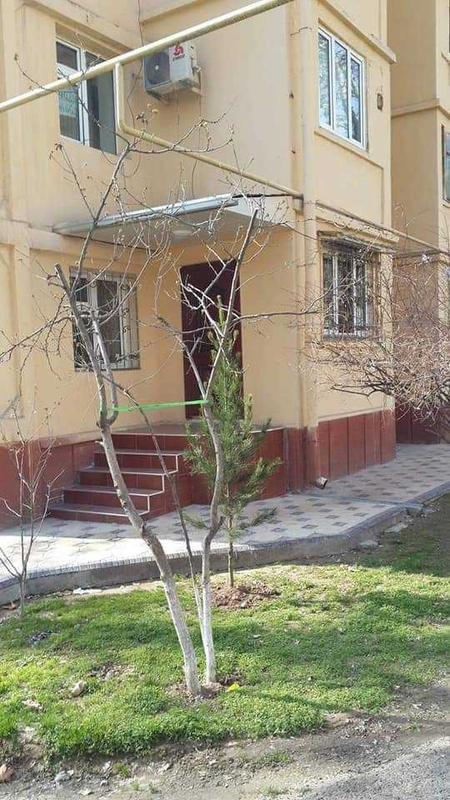 Продается: 1/2/5 массив Урда Бывшее Динамо.