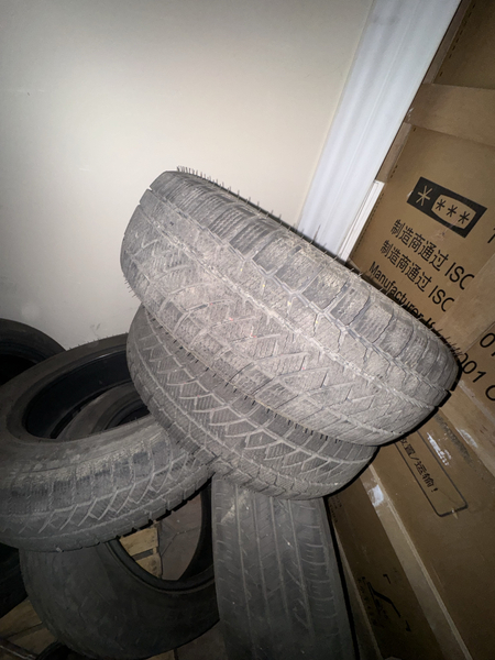 Spark radnoy 14 diskasiga zimniy shina
