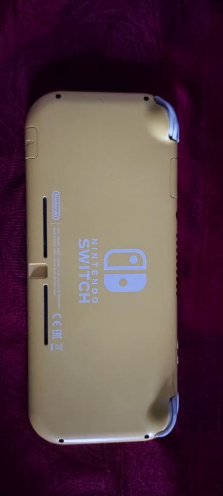 Nintendo switch lite прошитая