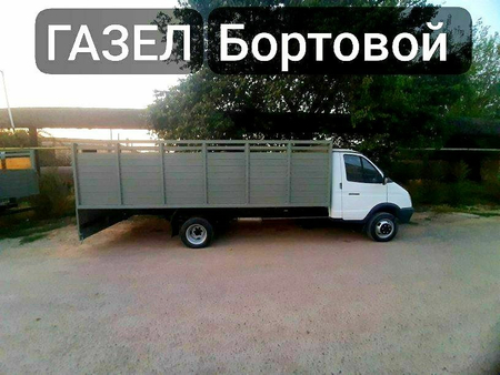 Hazel yuk tashish.  Perevozka gazel