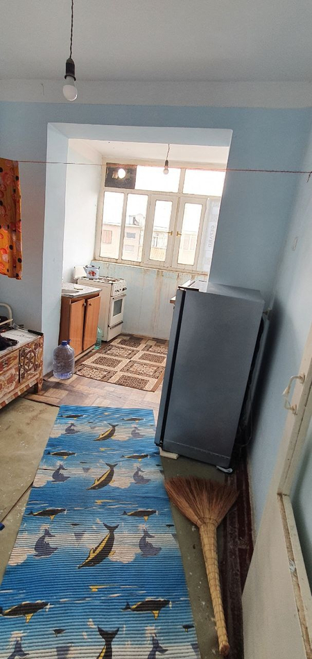 Ijaraga kv student qizlarga 350 mingdan