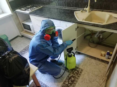 дезинфекция хизмати