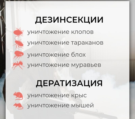 Дезинфекция/ Дезинсекция/ Обработка