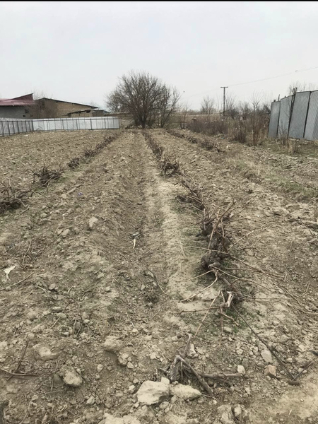 Продаю земелный участок 23 сотых с документами
