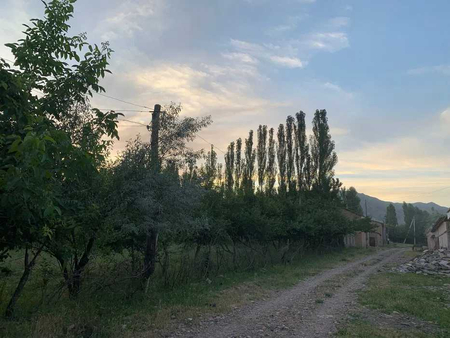 Arzon narxlarda dacha uchun yer sotiladi.