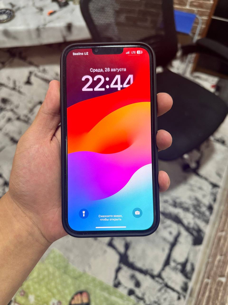 iPhone 13 pro max