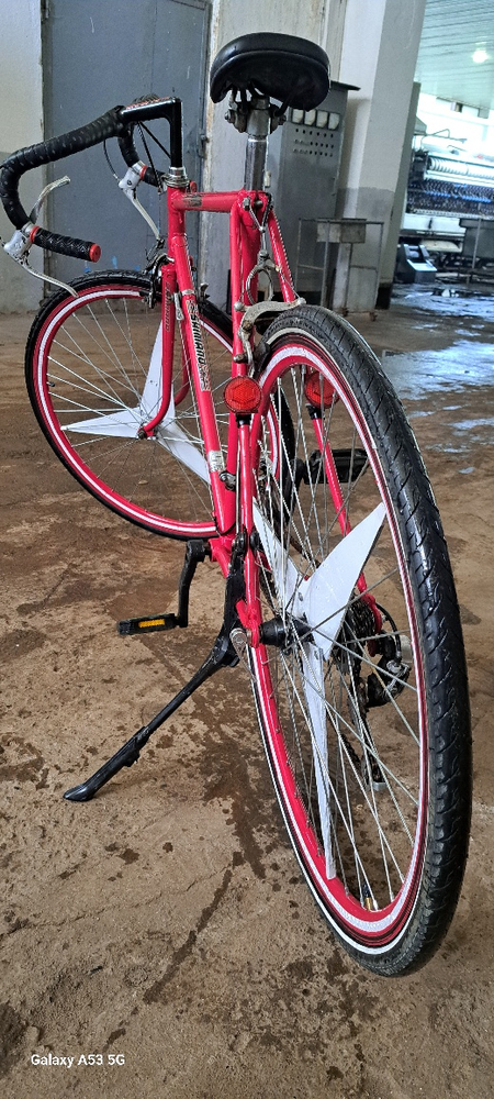 Veloseped gonchik