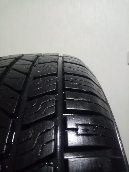 Formula PLUS. Pochti yengi