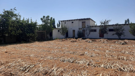 Srochno sotiladi hamma hujjati joyida