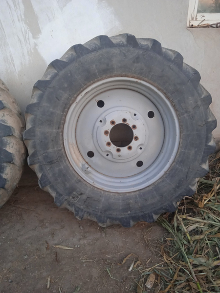 MTZ traktor balonlari.