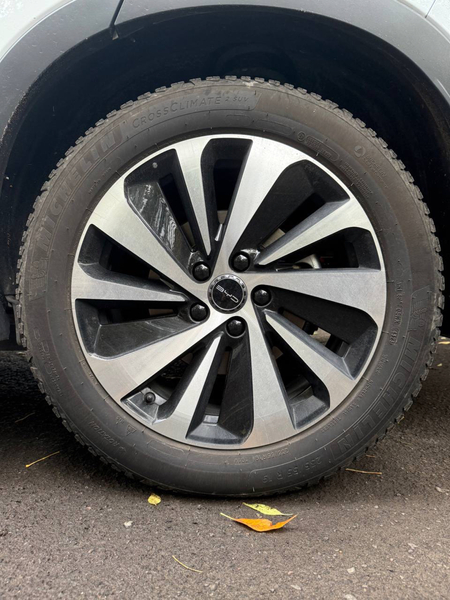Продается BYD Chempion