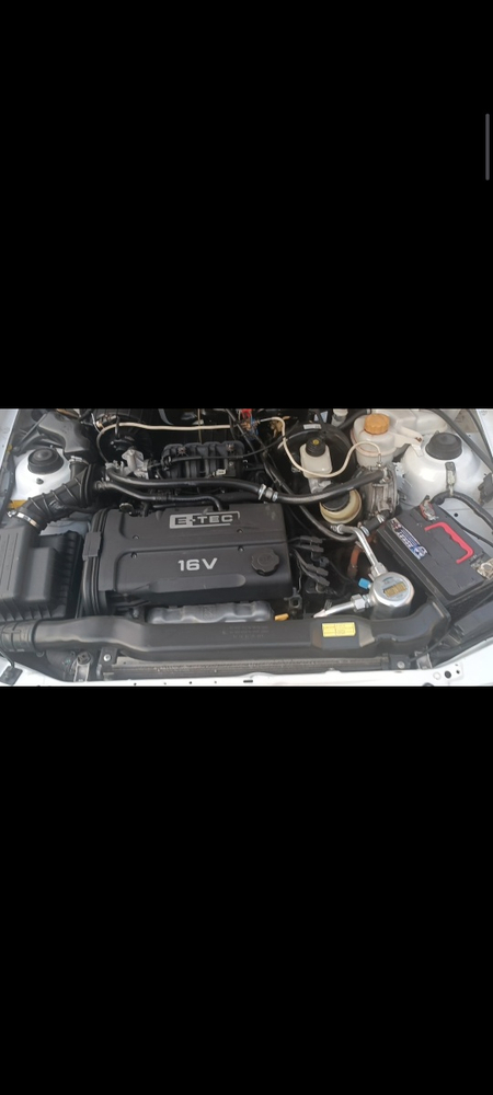1.6L 2016 yil. Luks kanditsaner