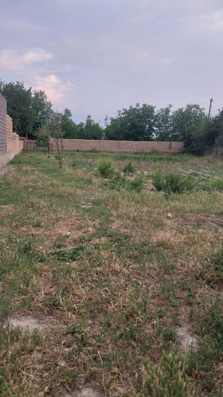 Yer maydoni sotiladi