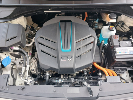 Kia  Niro ev electric