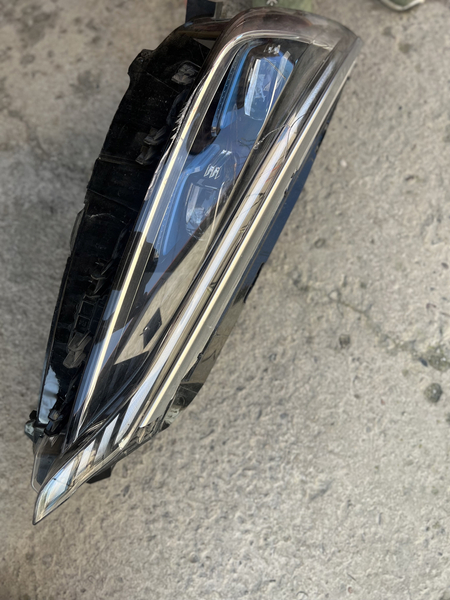 Byd son plus farasi sotiladi