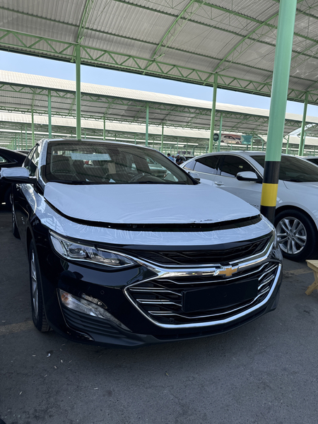 Malibu 2 primer yili 2022