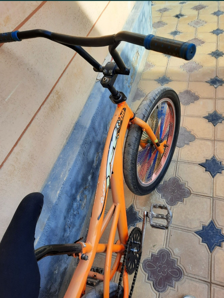 Velosiped katta heli