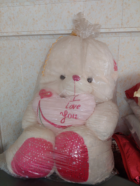 Myagkiy igrushka