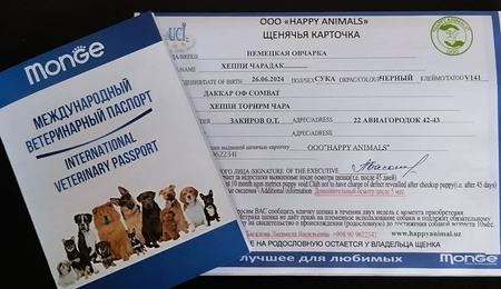 Щенки немецкой овчарки