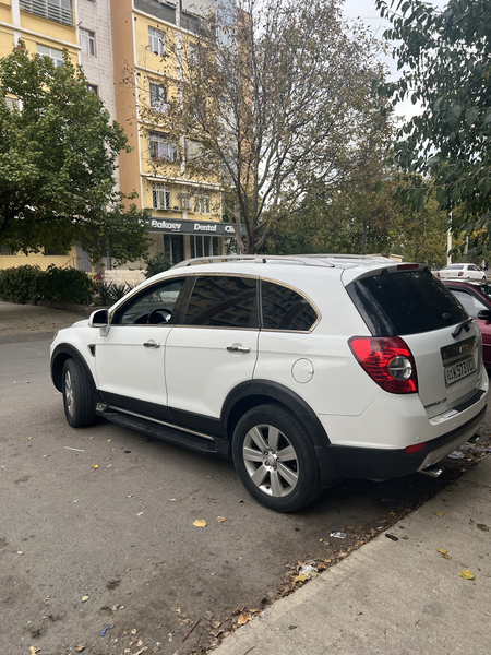 Каптива 1   Родная краска