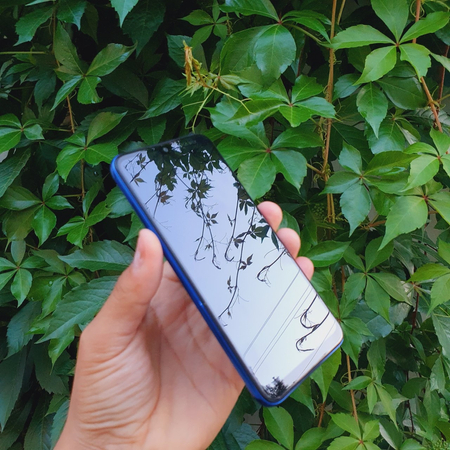 Redmi 7 sotiladi