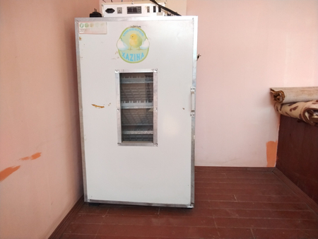INKUBATOR tuxum ochirish qurilmasi