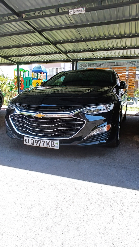 Malibu 2 primer 2022 Qora