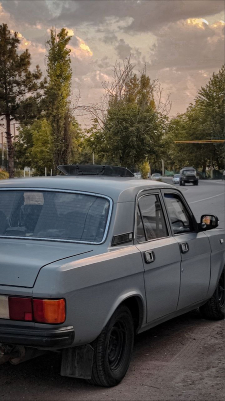 Волга 31029