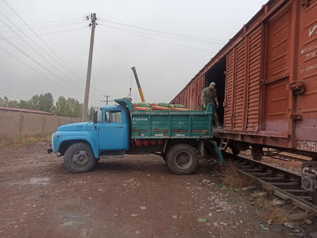 Shebin klineks qum sement shagal turpoq zil xizmatlari