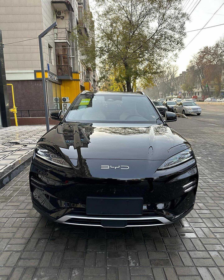 BYD song plus chempion 2024