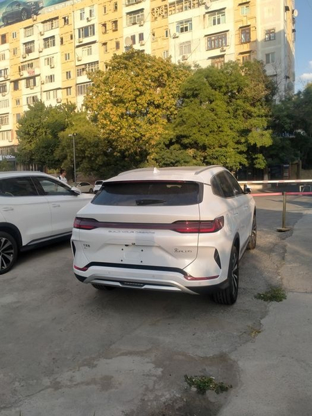 BYD. CHimpyon  фақат варяантга