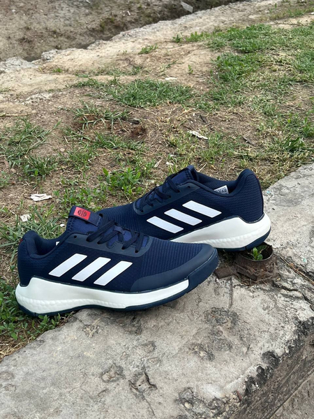 Adidas vallebolniy
