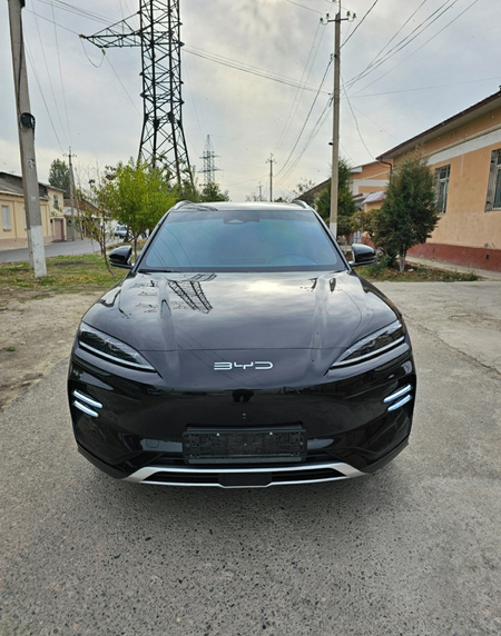 BYD CHEMPION 605 KM. 2023.