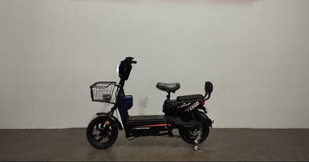 Elektro skuter mini