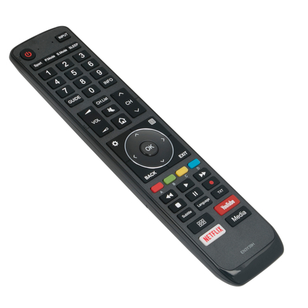 Пульт управления Hisense EN3C39V1
