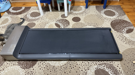 Беговая дорожка Xiaomi WalkingPad A1