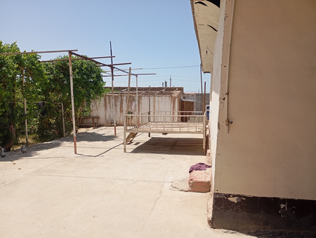 Angor tumani sharq guli mahallasida