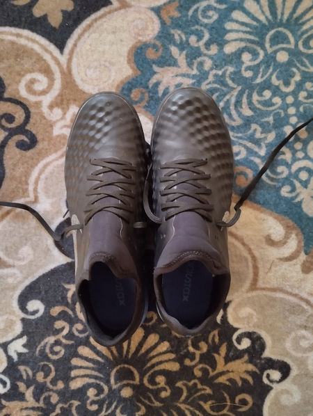 Magista sorokonoshka