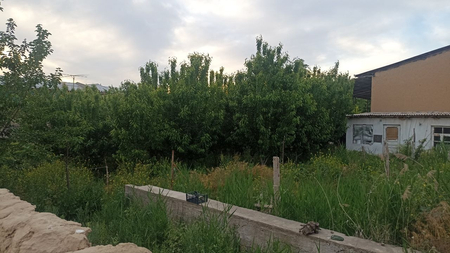 Yer sotiladi nazarnek harakatda