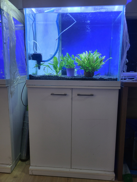 Akvarium sotiladi.