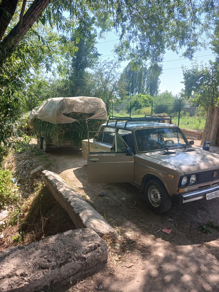 Qamish Lomboga bor